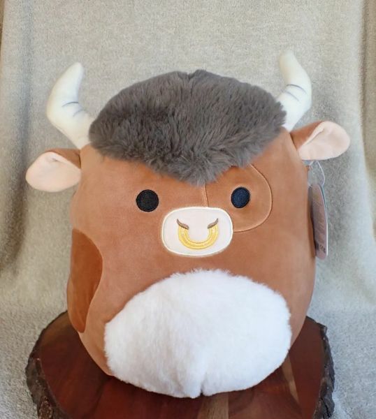 Free: Shep The Bull Squishmallow 11 Free: Shep The Bull Squishmallow 11
